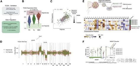 Sci案例分享 胶质母细胞瘤空间多组学解析肿瘤微环境 知乎
