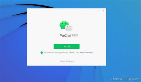 linux kali 通过wine安装 exe应用 kali wine csdn博客