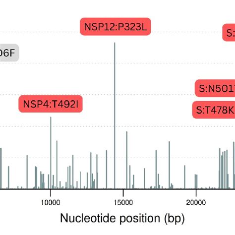 Amino Acid And Nucleotide Substitutions Associated With Sars Cov 2