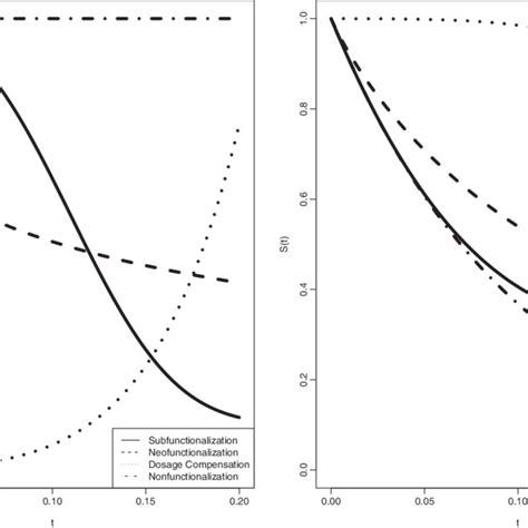 The Hazard Function Left And Corresponding Survival Function Right Download Scientific