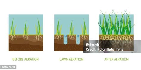 잔디 폭기 전후 잔디 밭 관리 서비스 원예 및 조경 디자인 전후의 식기 과정 통기에 대한 스톡 벡터 아트 및 기타 이미지