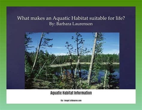 Beneath The Surface Exploring Aquatic Habitat Information And The