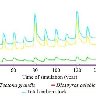 Contribution Of Tree Species Components To Total Carbon Stock Download Scientific Diagram