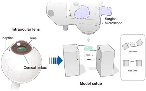 Schematic Representation Of The Experimental Evaluations Both Ends Of