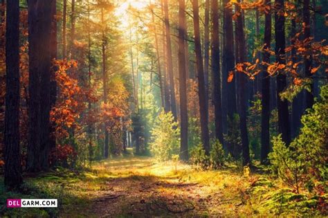 7 انشای تصویرنویسی با موضوعات جذاب و متنوع برای پایه هفتم