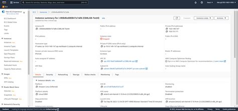 Why It Isnt Re Assigned A Public IP Address And Public IP DNS For A Instance In A Public Subnet