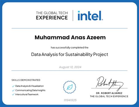 muhammad anas azeem on linkedin excel tableau dataanalysis