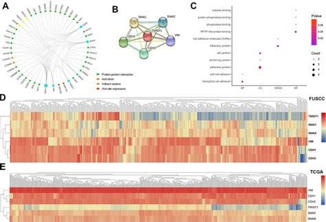 Module Analysis And Functional Annotations Of The Six Emt Related Gene Download Scientific