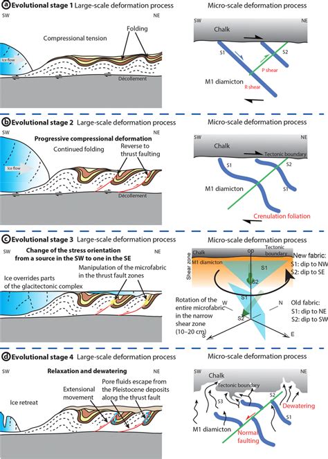 Four Stage Evolutional Model Of The Wissower Bach Syncline And Adjacent