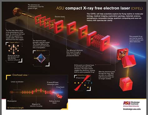 X Ray Free Electron Laser