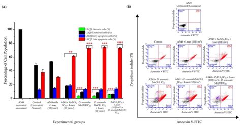 Flow Cytometry Results Annexin V Fitc Pi Obtained In Monotherapy And Download Scientific