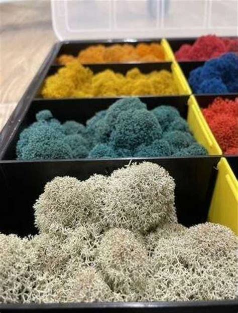 Стабилизированный мох панно купить Растения Festima Ru частные объявления