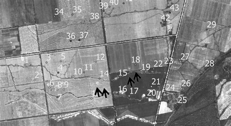 the offsets between the points coming from the map and the aerial