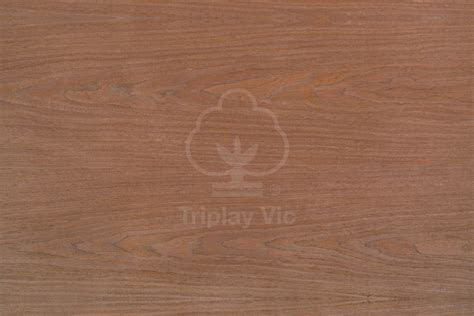 Tzalam Triplay Vic
