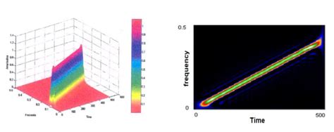 Born Jordan Representation Of The Test Signal Download Scientific Diagram