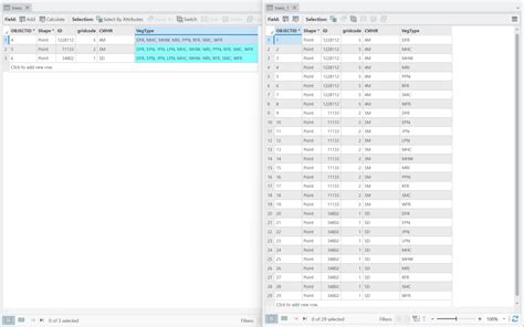 Arcpy Duplicating Records By Using Column Delimiter In Arcgis Pro