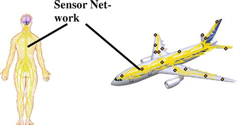 Figure 1 From Structural Health Monitoring A Contribution To The