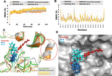 A Rmsd Of The Protein Backbone Along The Simulation Trajectory For Download Scientific