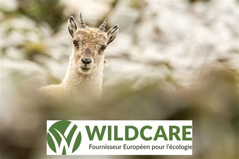 4 Photos Sélectionnées Au Concours Wildcare