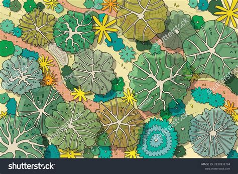 Top View Tree Vector Set Architectural Stock Vector Royalty Free Shutterstock