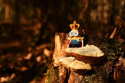 60 000 Free Minion Happy Birthday And Minion Images Pixabay