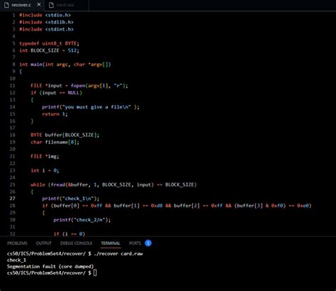 Segment Fault At Recover Rcs50