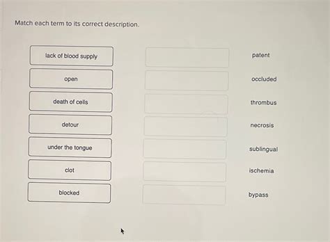 Solved Match each term to its correct description.lack of | Chegg.com