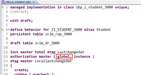 Sap Abap Central Abap Rap Global Authorization