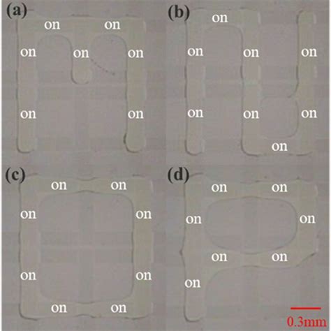 Microfluidic Patterning Using A Two Plate L Dep System A M B N