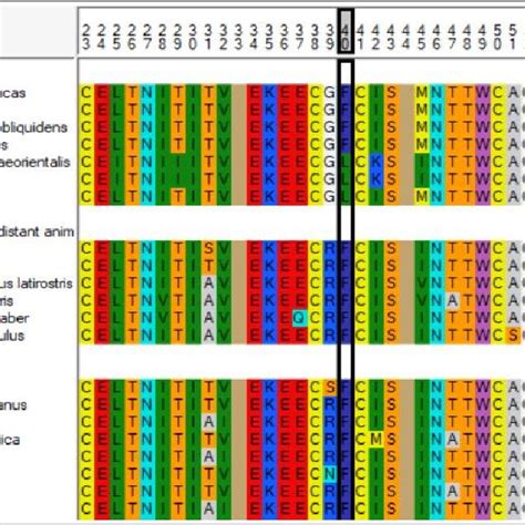 Functional Divergence Estimated In Fshβ Gene In Cetacea Primates Download Scientific Diagram