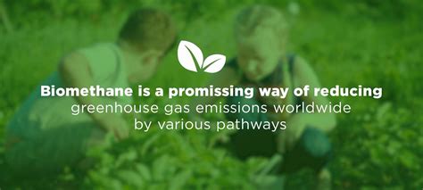 Ube Co2 Separator Animação De Produto Ou Serviço Dumela