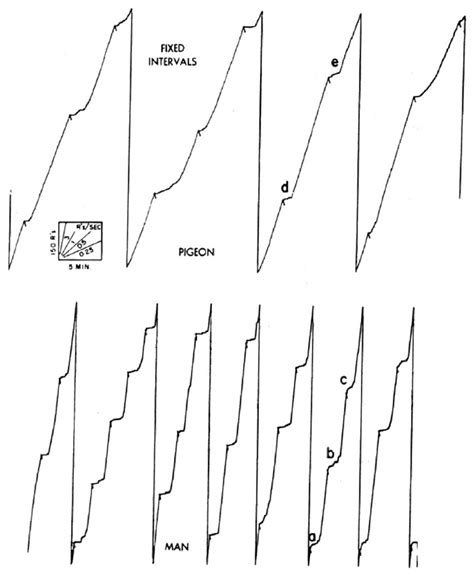 the experimental analysis of behavior american scientist