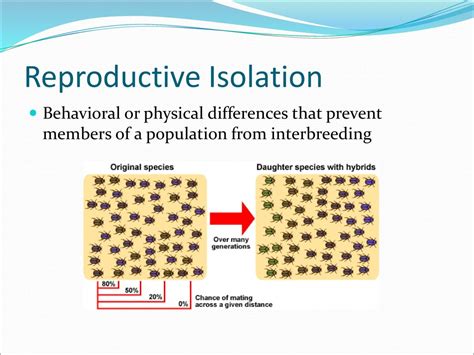 Speciation Ppt Download