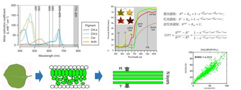 遥感合集 长时间序列遥感、无人机遥感、python Gee遥感云大数据分析、cnn Pytorch遥感、植被参数光学遥感反演时序遥感