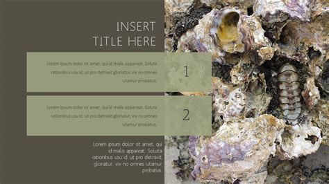 Fossil Templates Ppt