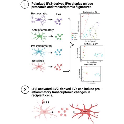 Identification Of State Specific Proteomic And Transcriptomic