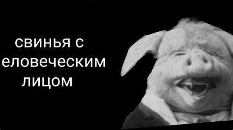свинья с человеческим лицом страшилка Youtube