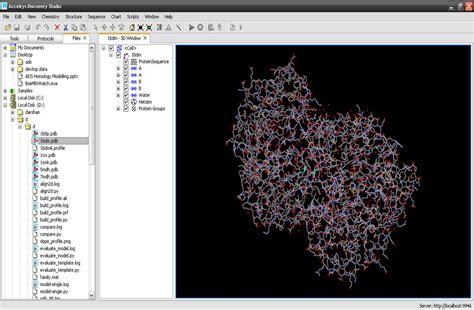 Learn Bioinformatics Homology Modeling