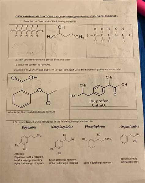 circle and name all functional groups in thefollowing course hero