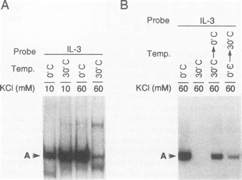 Effects Of Incubation Temperature And Kcl Concentration Download Scientific Diagram