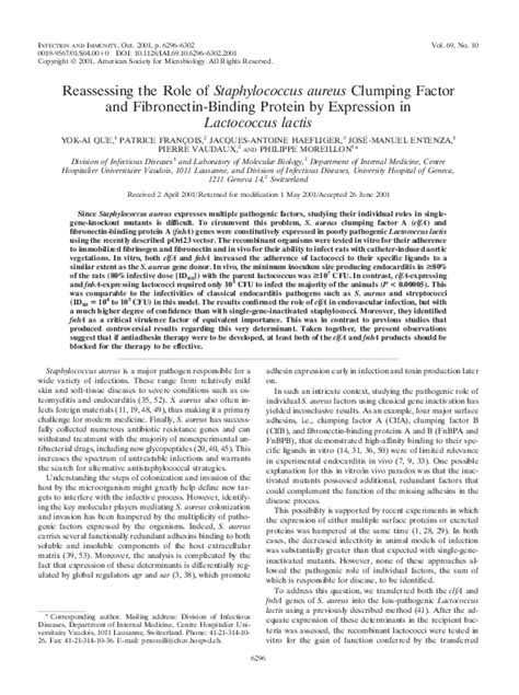 Pdf Reassessing The Role Of Staphylococcus Aureus Clumping Factor And Fibronectin Binding