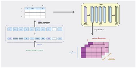 a green ai methodology based on persistent homology for compressing bert