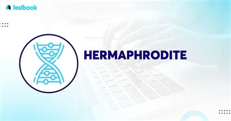 Understanding Hermaphrodites Definition Types And Hermaphroditism In