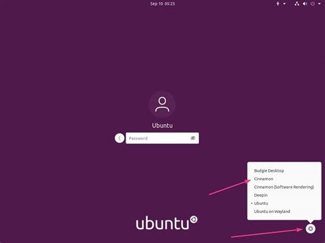 Install Cinnamon Desktop Environment On Ubuntu LinuxShout