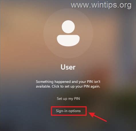 FIX Something Happened And Your PIN Isn T Available In Diagnostic Startup Mode WinTips Org