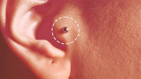 What Is A Tragus Piercing Unveil The Trendy Secret
