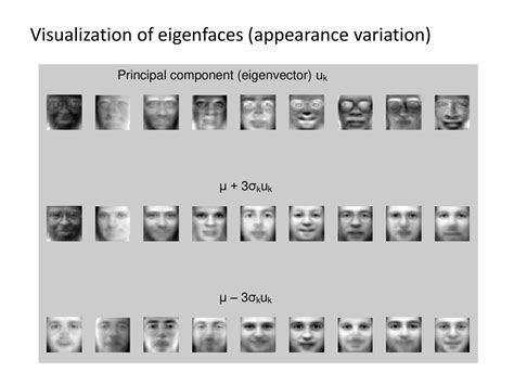 Detection Recognition And Transformation Of Faces Ppt Download