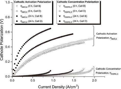 Cathodic Activation Polarization ηactc And Cathodic Concentration