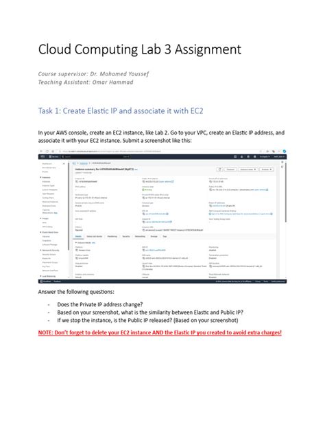 Cloud Computing Lab 3 Assignment Pdf