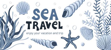 조개껍데기 불가사리 해초가 있는 여름 바다 여행 포스터 디자인 여행 전단지 템플릿 갑각류에 대한 스톡 벡터 아트 및 기타 이미지 갑각류 개념 관광 Istock